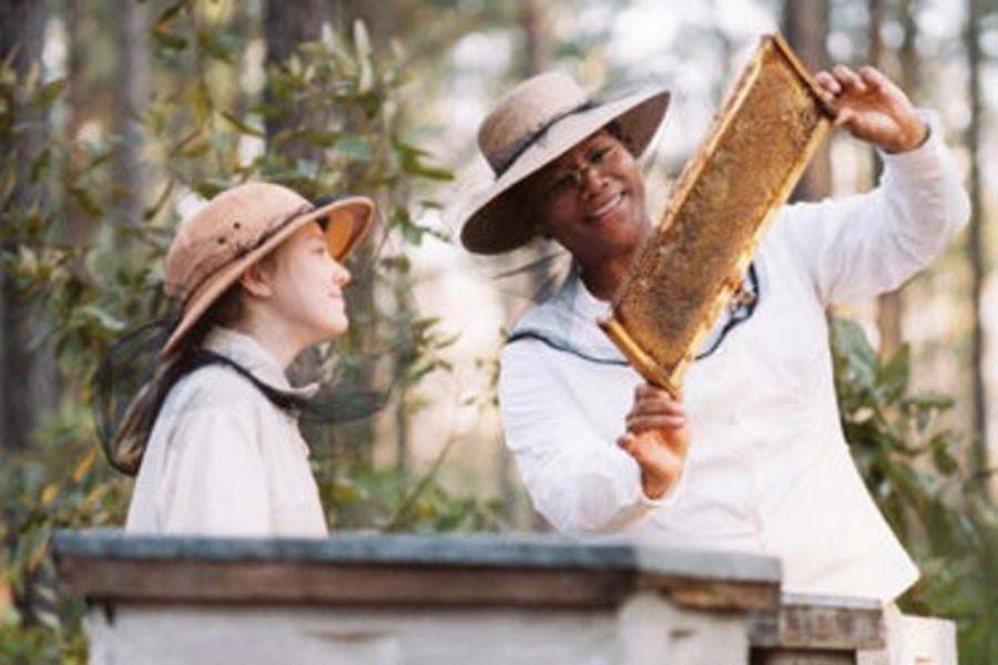 'The Secret Life of Bees:' A Sneak Peek - Essence
