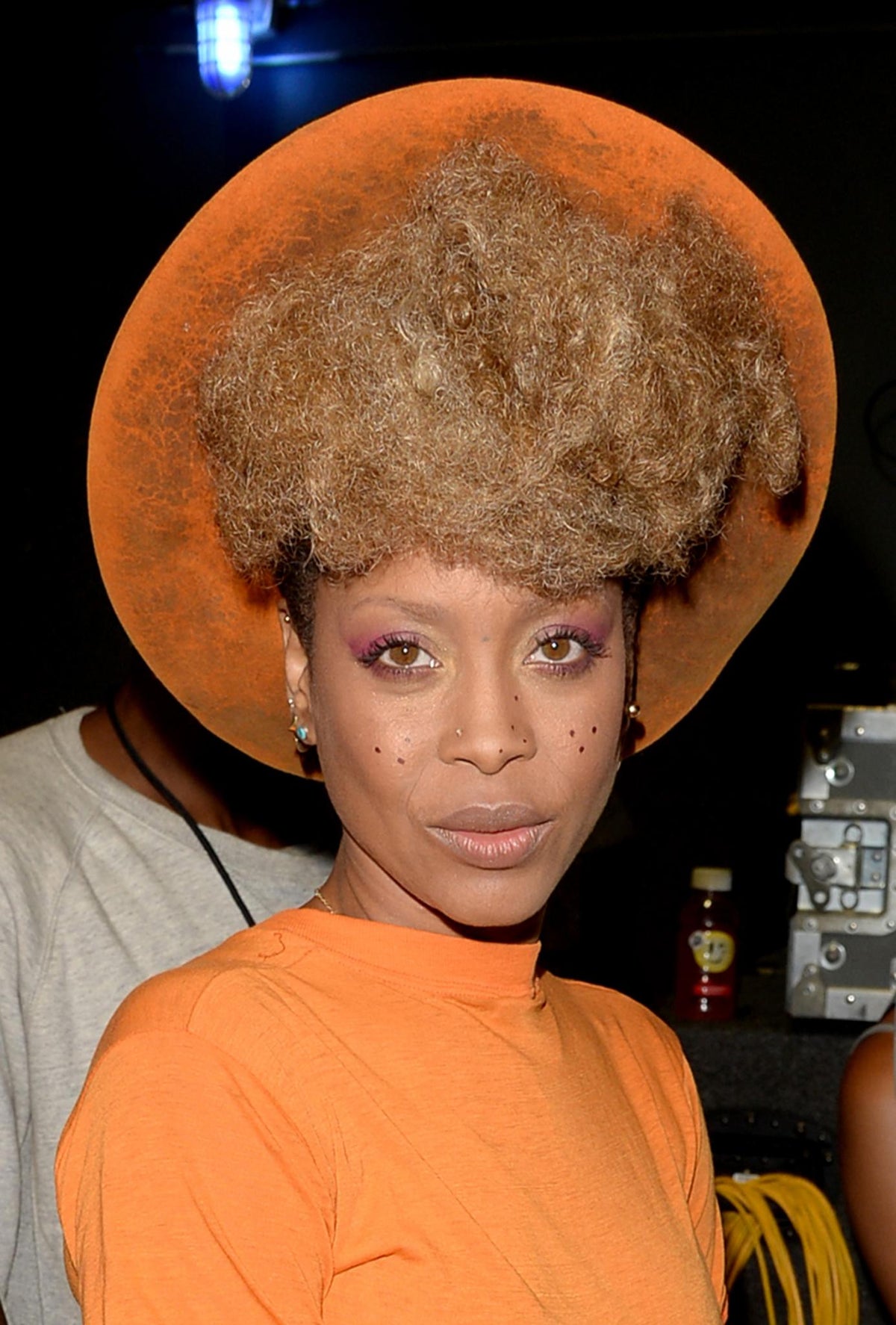Erykah Badu's Natural Hair Evolution - Essence
