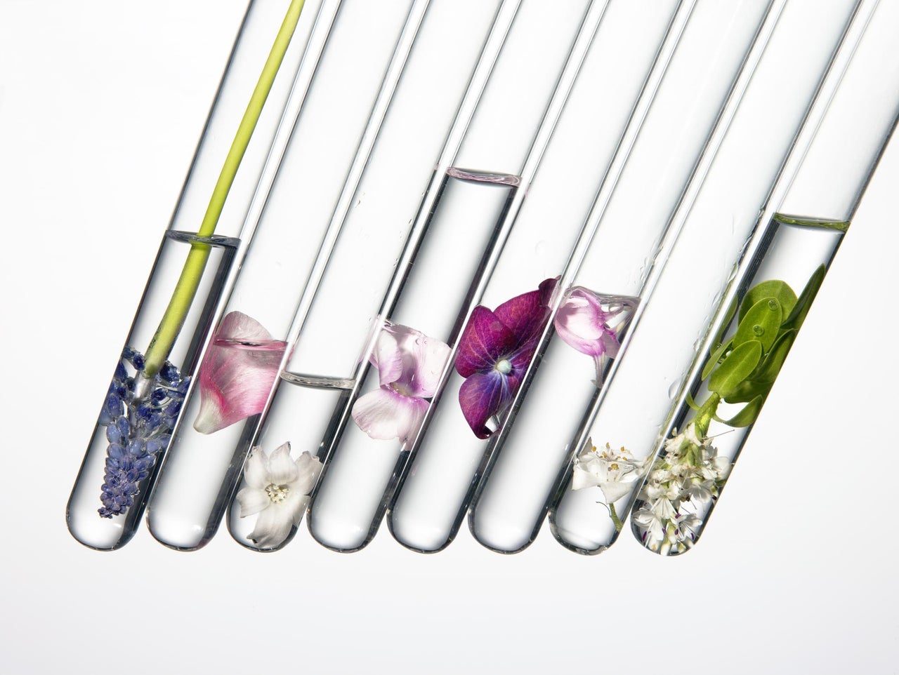 4 Green Ways To Get Rid of Cystic Acne - [site:name] | Essence