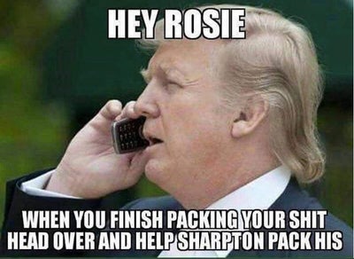 Post-Election Donald Trump Memes - Essence