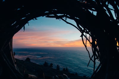 A Human Nest On An Epic Big Sur Road Trip - Essence