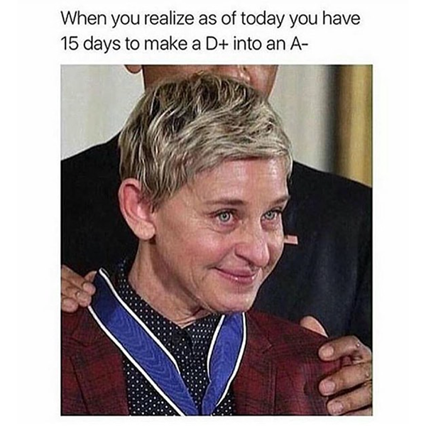 The Best Memes and Gifs of 2016 - Essence