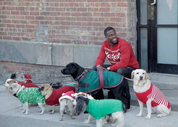 Celebs And Their Pets - Essence