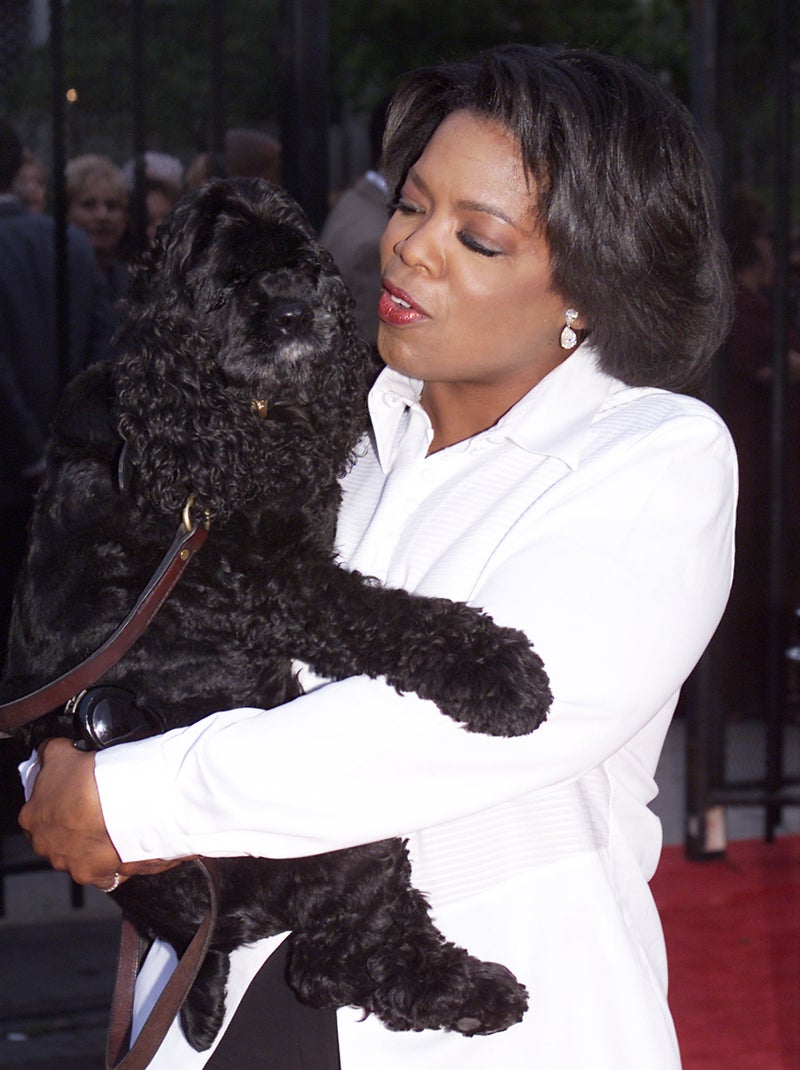 Celebs And Their Pets - Essence