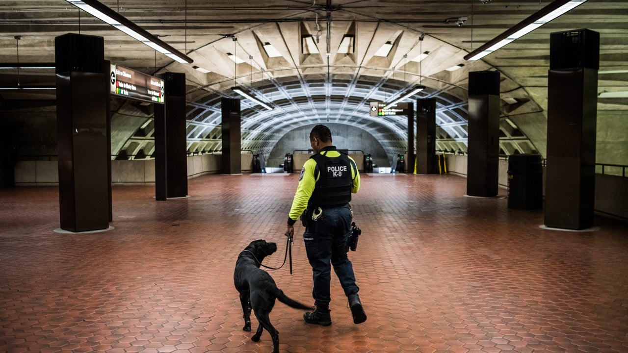 DC Metro Police Under Fire After Officer Shoves, Tases Black Man ...