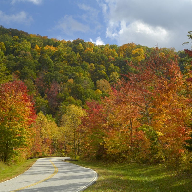 Hit The Open Road Sis! 5 Epic Road Trips To Take This Spring - Essence