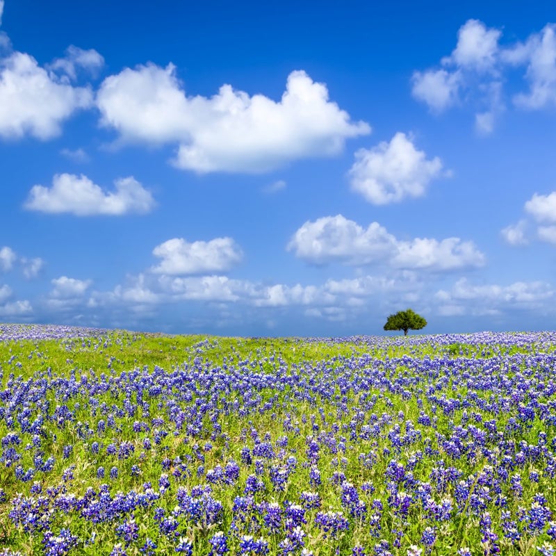 Hit The Open Road Sis! 5 Epic Road Trips To Take This Spring - Essence