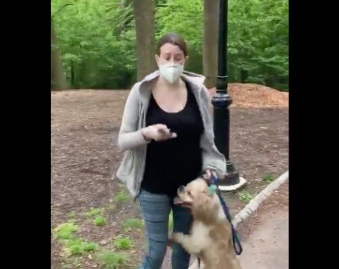 Amy Cooper Charged With Filing False Report On Christian Cooper ...