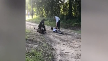 2 Georgia Police On Leave After Shooting At 5 Children - Essence