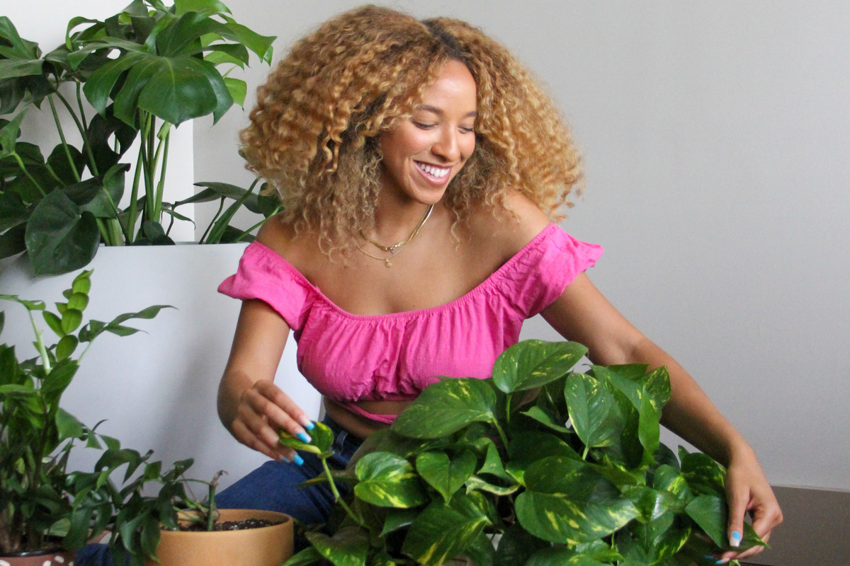 A 'Plant Doctor' On Choosing The Best Houseplant For Your Lifestyle ...