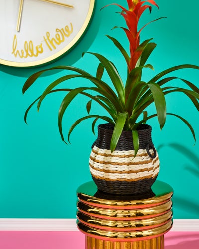 First Look: If You Loved Tabitha Brown's Clothing Line With Target ...