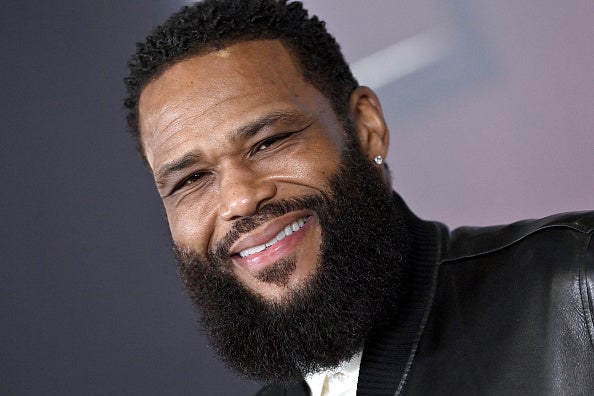 Anthony Anderson To Star In New Comedy Pilot For ABC, ‘Public Defenders ...